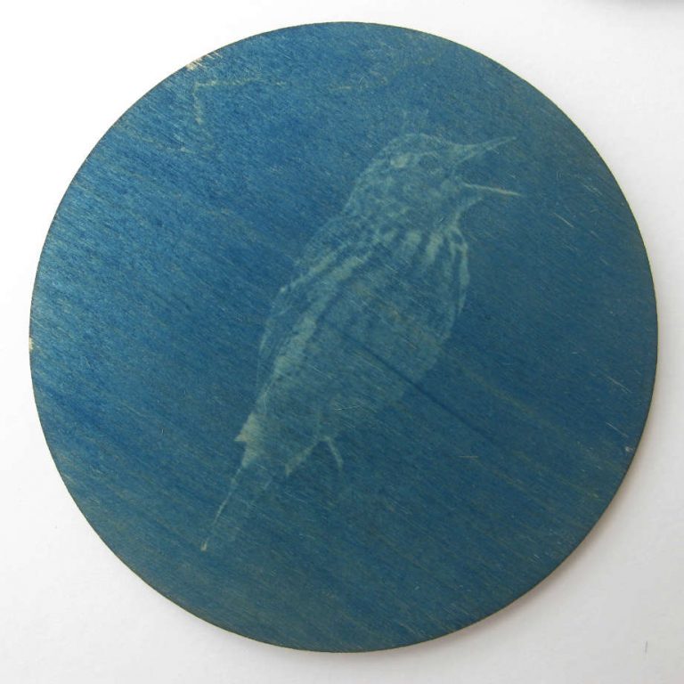 Cyanotypes