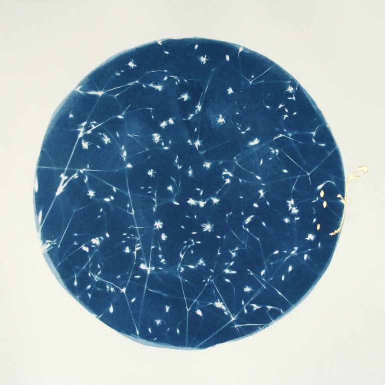 Cyanotypes