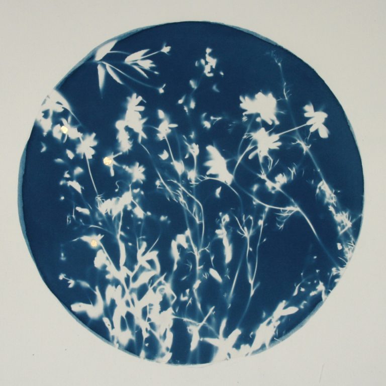 Cyanotypes