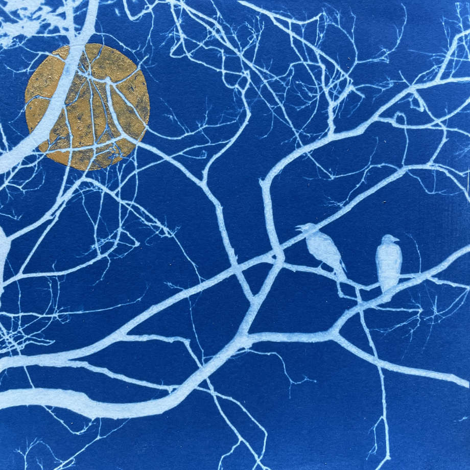 Shadow Light Anne Guest